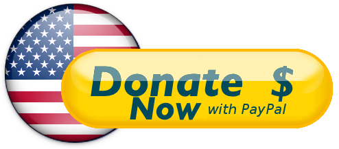 Paypal Donatenow Logo